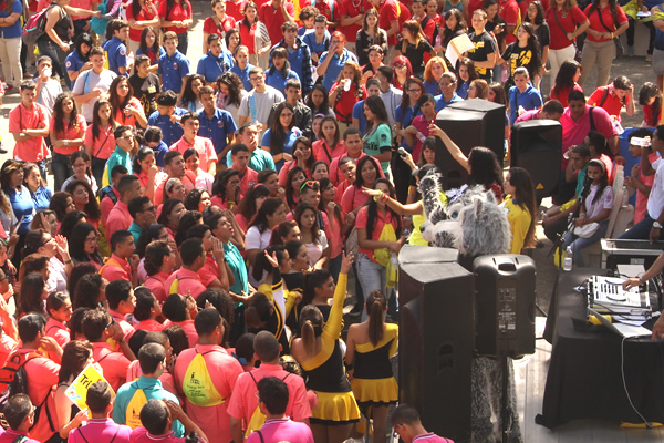 Universidad de Puerto Rico en Arecibo