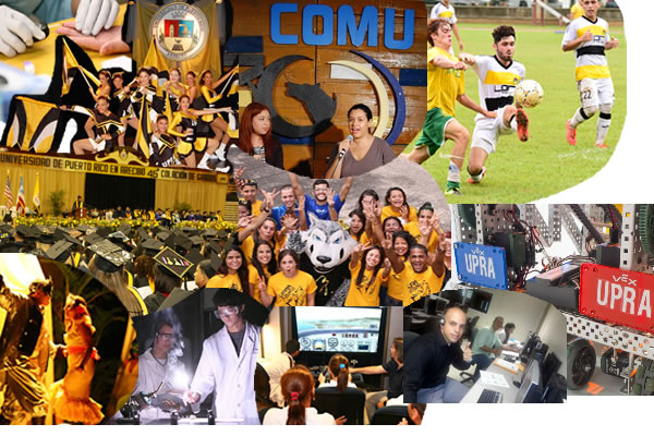 Universidad de Puerto Rico en Arecibo